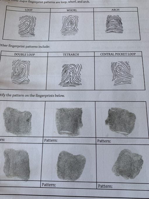CSI Science for Middle and High School Students: A Review