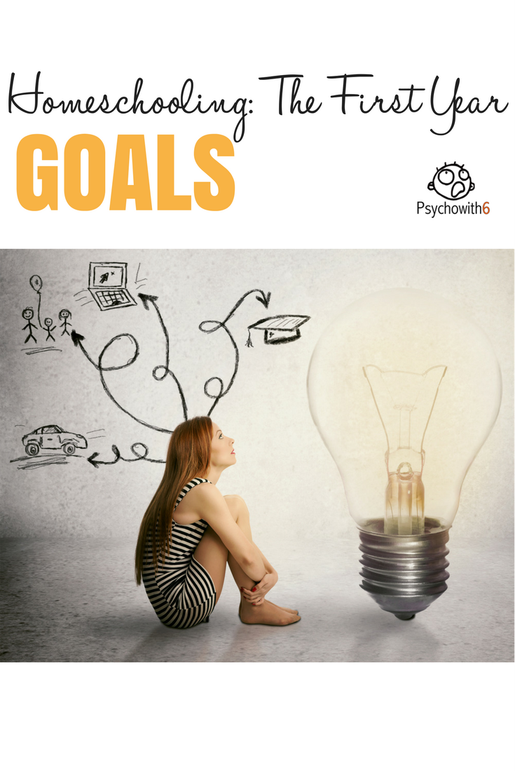 Goals and Devotions: Homeschooling, the First Year